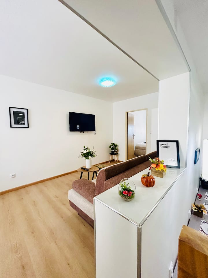 A Newly Renovated Apartment - Prague