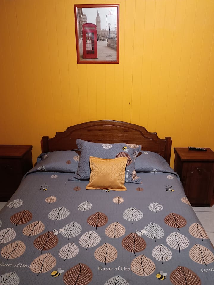 Habitación Baño Privado - Salamanca, Chile