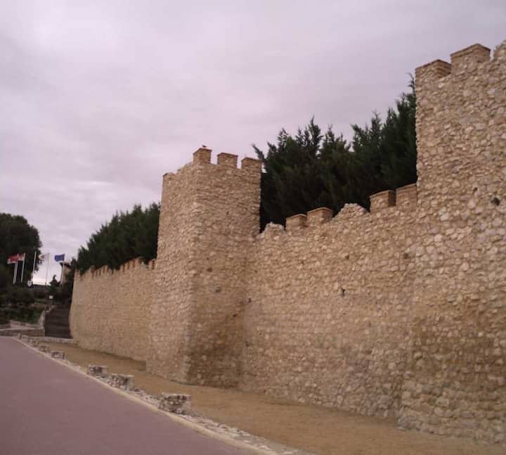 La Casita De Irene - Olmedo