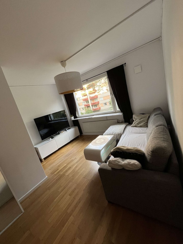 Big And Cozy Apartment. - Uppsala