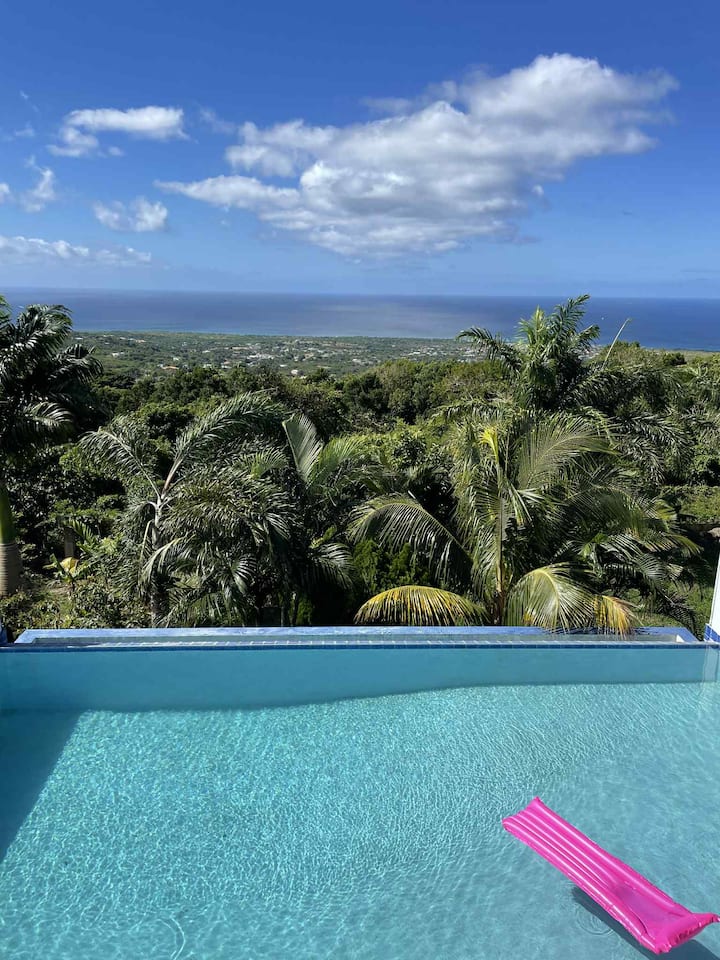 Quiet Garden Apartment At Rambutan - Saint Kitts and Nevis