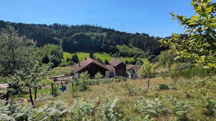 Le Chalet Vosges Montagne - France