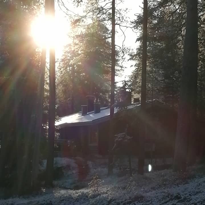Mesi Hukka - Salla