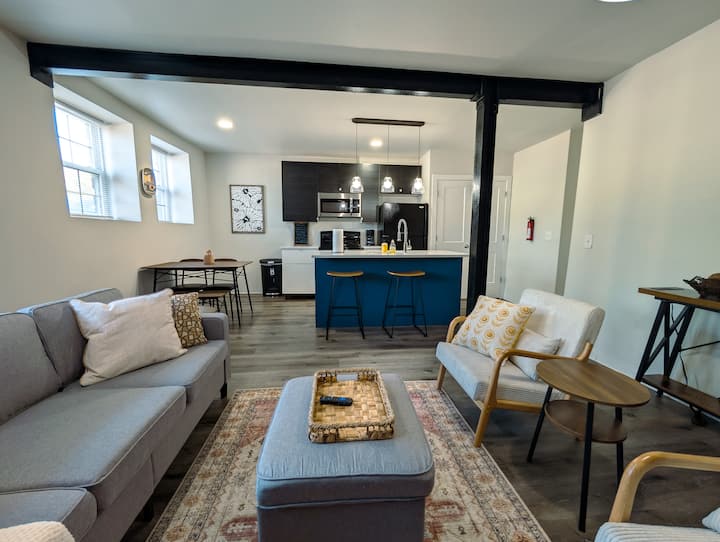 Dtwn 2br - 1 King, 1 Queen: Free Park, Fast Wi-fi - Detroit, MI