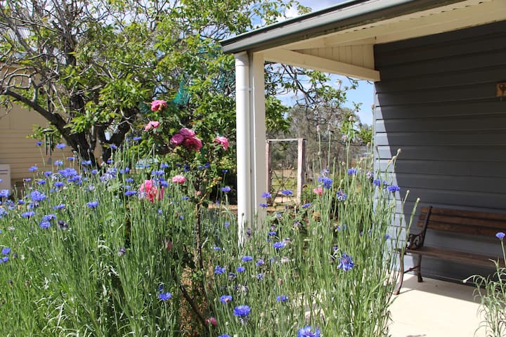 Cornflower Cottage - Inverell