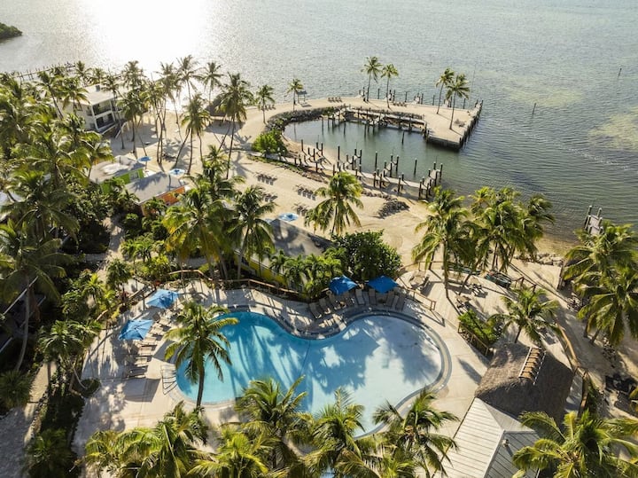 2 Suites W/queen Beds, Kitchenette, Pool & Parking - Islamorada, FL