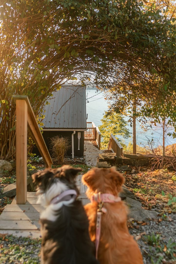 *New* Wine Cottage W Sweeping Views Of Seneca Lake - Dundee, NY