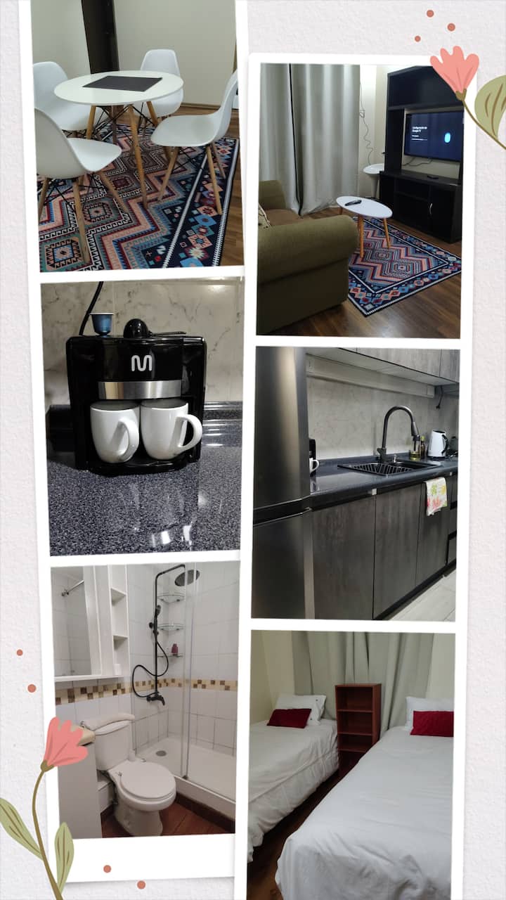 Depto. 3 D Factura Central - Chillan