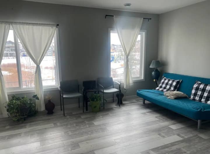 Walkout Basement On Waterfront - Airdrie