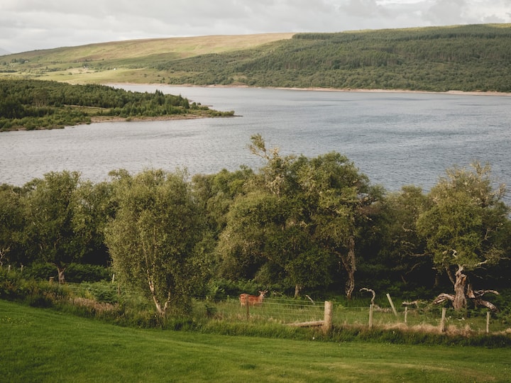 Phil's House - Lairg