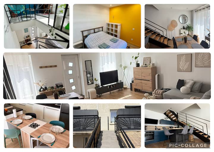 Duplex Contigus Pour Groupes - Roanne