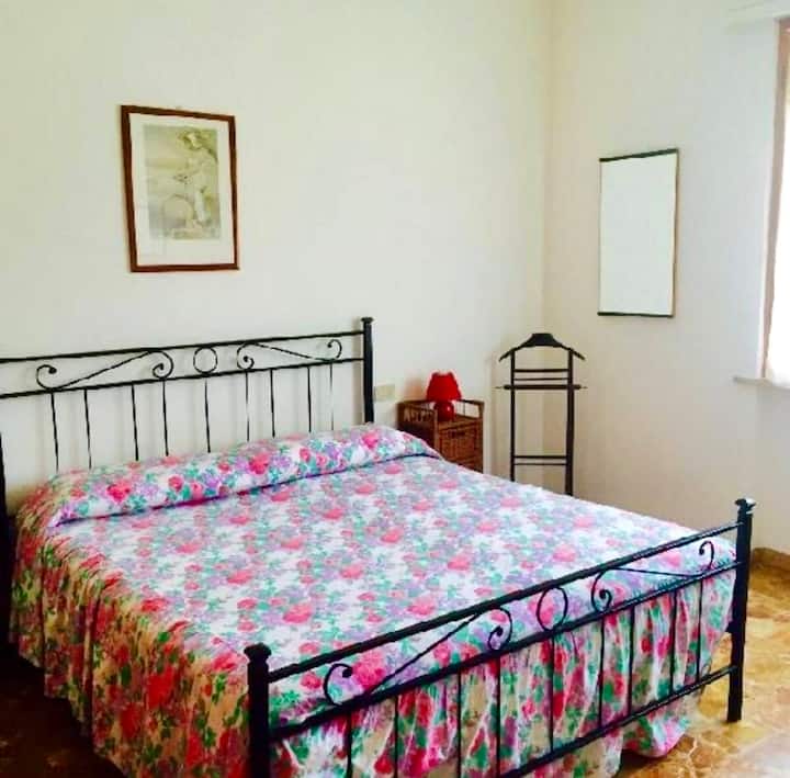 Per Ogni Ospite, In Aeroporto! - Pise