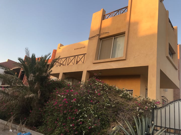 مجاويش ميدان البهجة - Hurghada