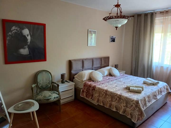 Artist's Home - Tirana