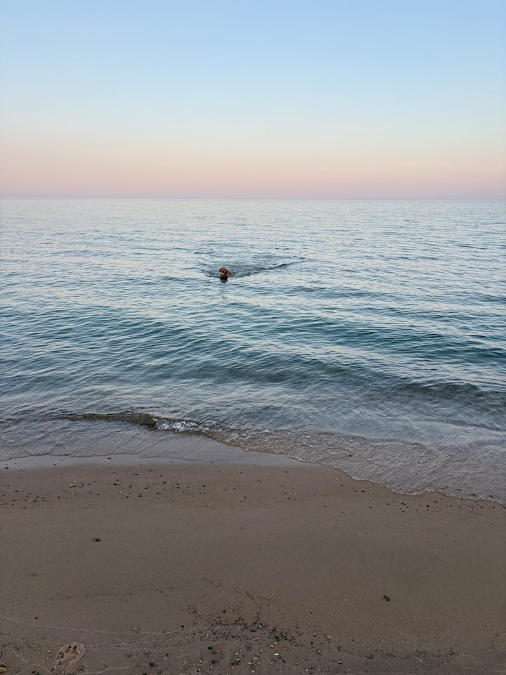 The Cottage-sandy Beaches On Lake Huron&sunrises - Harrisville State Park, Harrisville