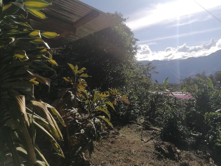 ÉColodge Privé Jungle – Domaine Entier & Cafés - Quillabamba