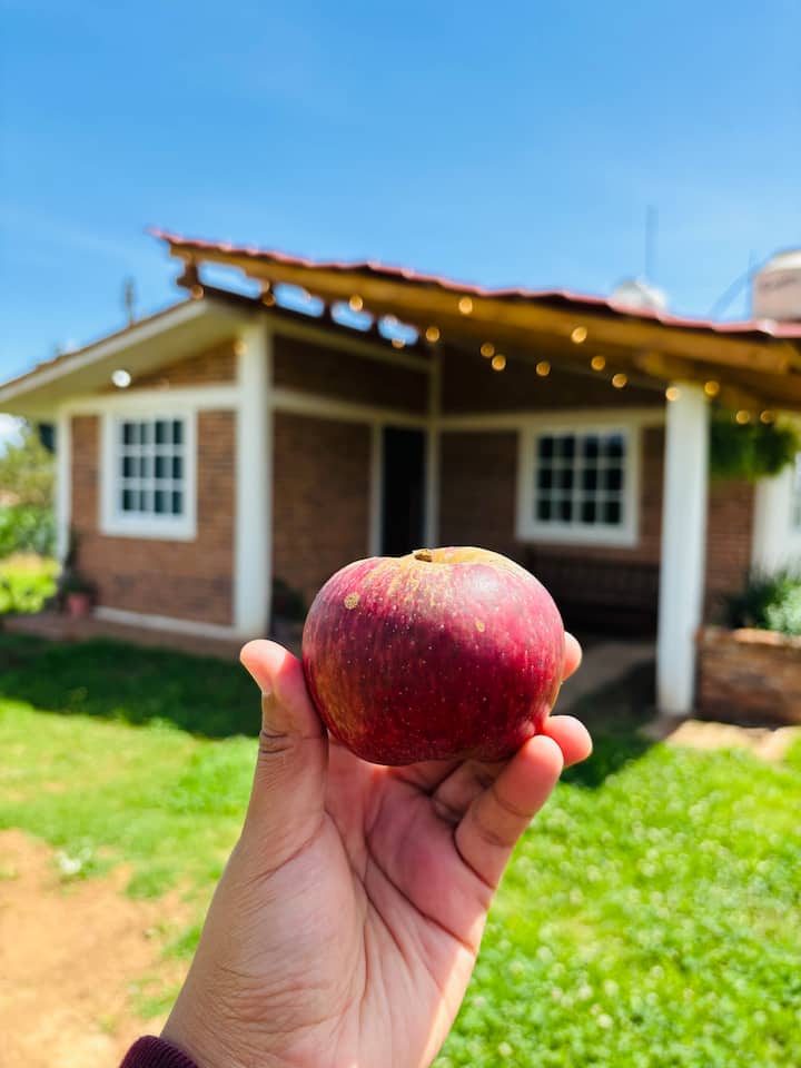 Cabaña Tritoña Zacatlán De Las Manzanas - Zacatlán