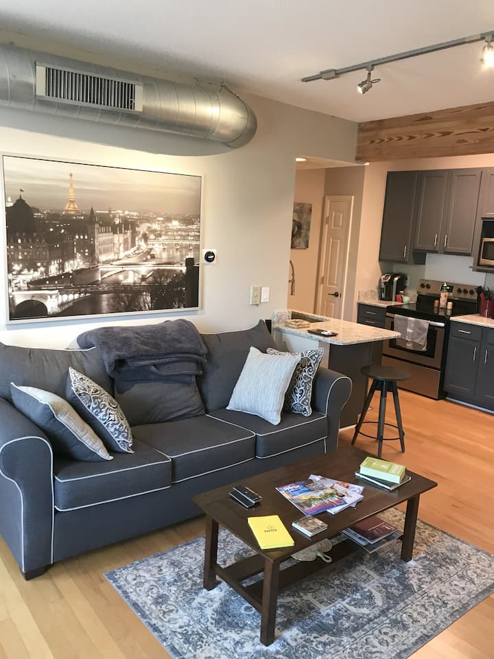 Awesome 1br Downtown Condo Near Everything! - Memphis, TN