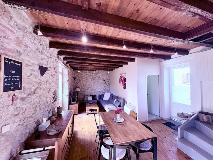 Casa Mialy - Clim Wifi Terrasse - Château du Touvet