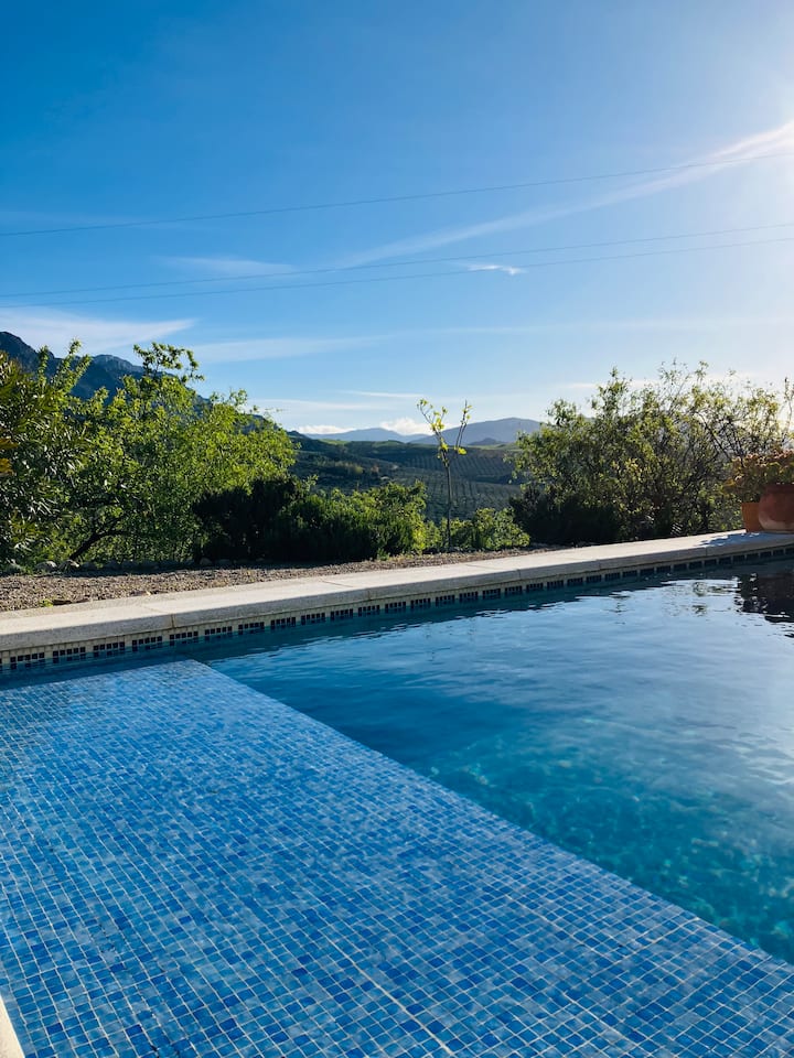 Piscine, Plancha & Pétanque Au Cœur Des Oliviers - Colmenar