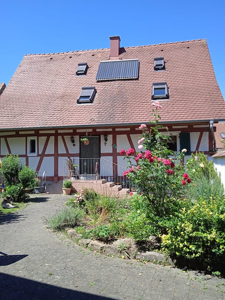 Im Auenland - Marckolsheim