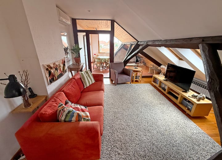 Spacious Art Loft - City Centre - Zagreb