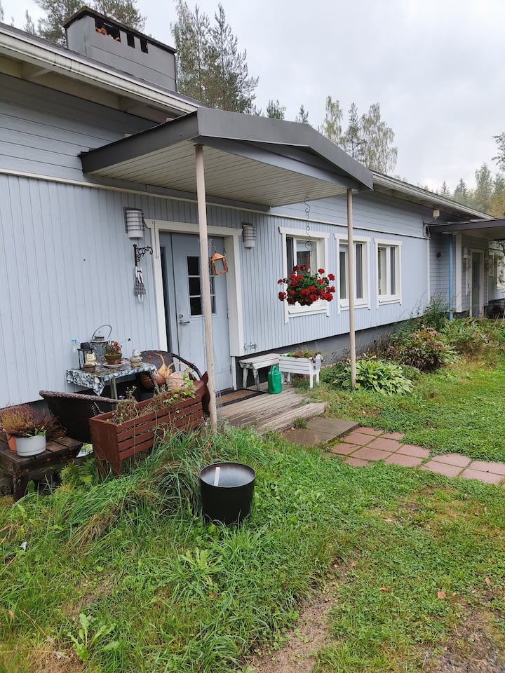 Iso Omakotitalo Liikuntasalilla - Lemi