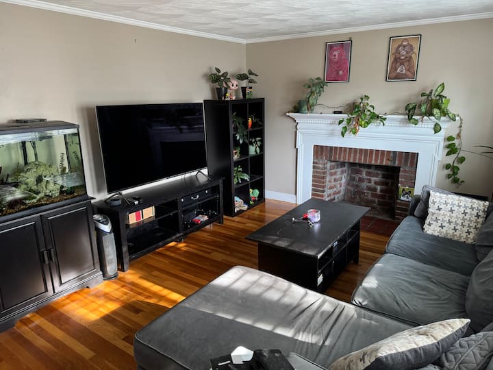 Private Bedroom/bathroom In Watertown - Newton, MA