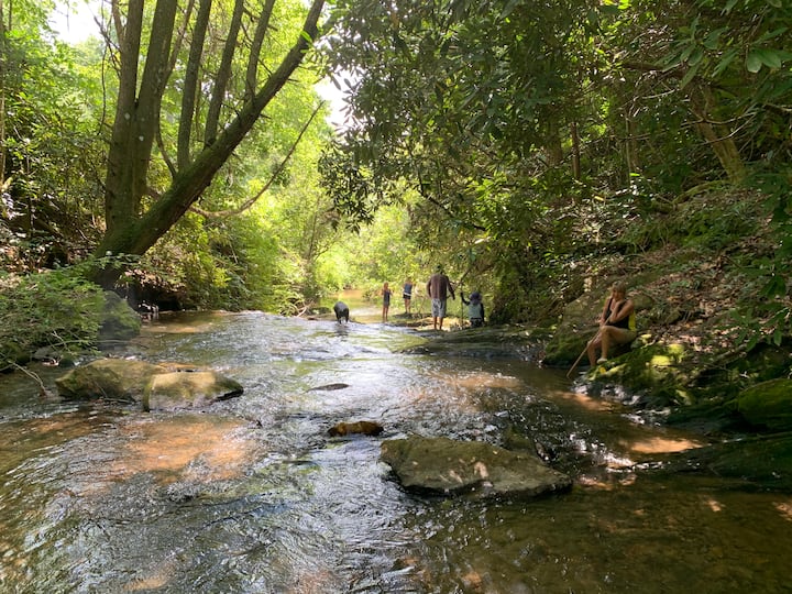 Moonlight Creekside Cabin Small Dog Friendly - Sautee Nacoochee, GA