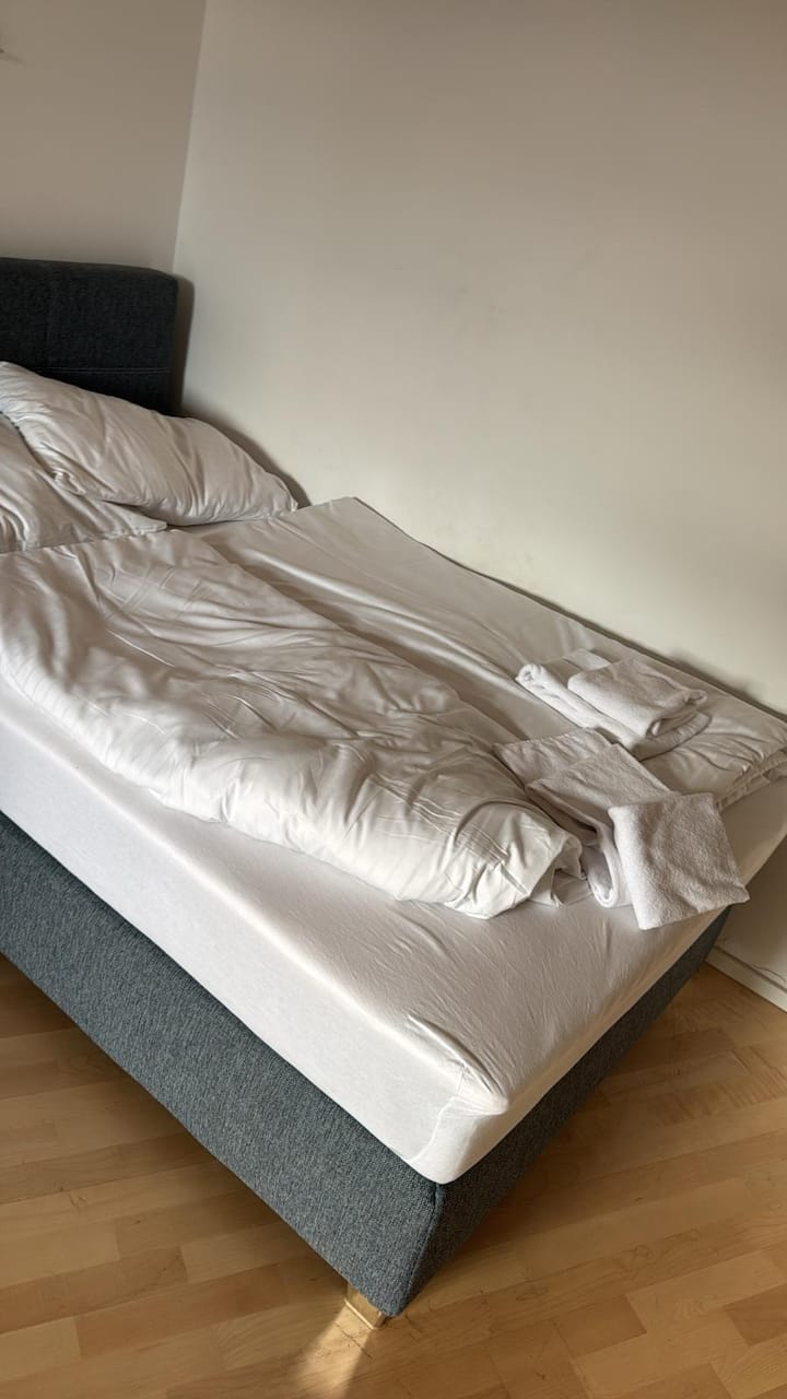 City Apartment Graz - Graz