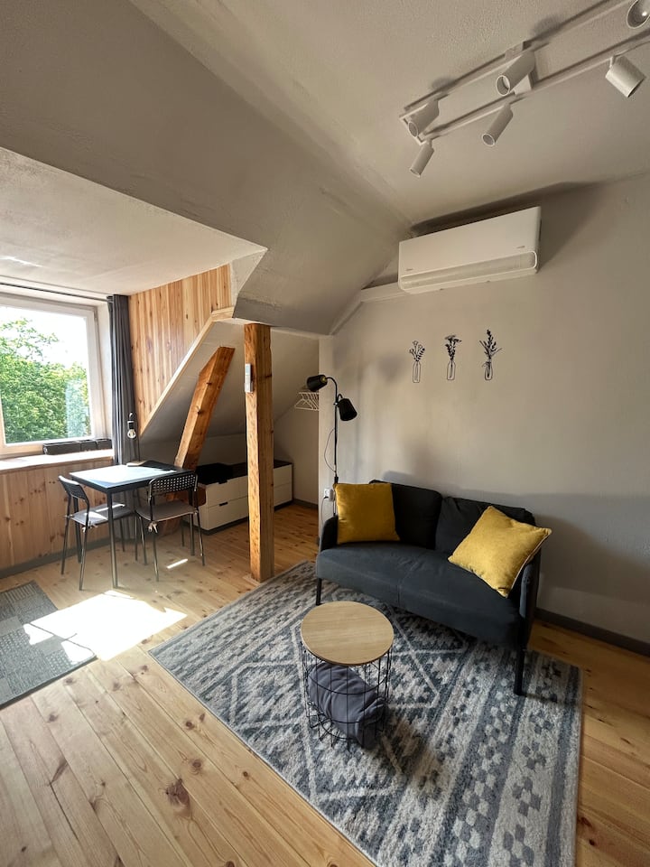 Studio Near Oldriga, Free Parking - Riga