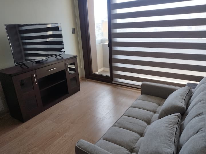 Alojamiento Departamento Nuevo Entero En Temuco - Temuco