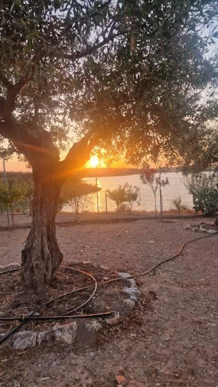 Monte Dos Avós - Monsaraz