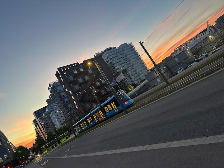 Shared Fenrisúlfdalr - オスロ