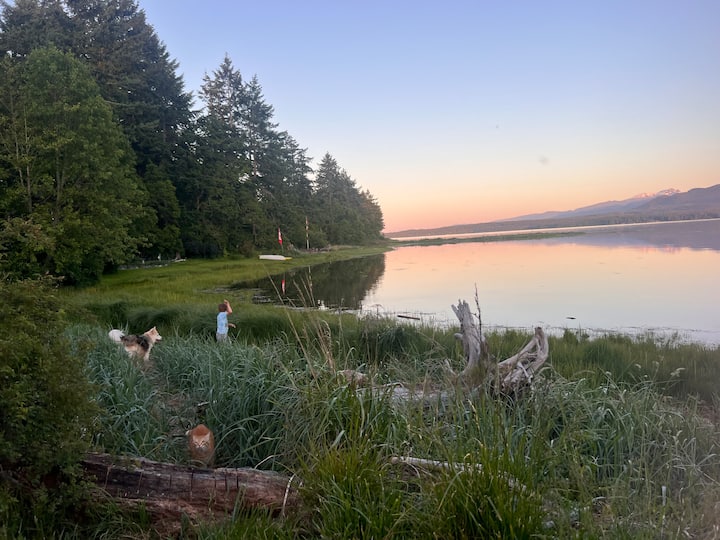 Small 1 Bdrm Coach House - Hornby Island