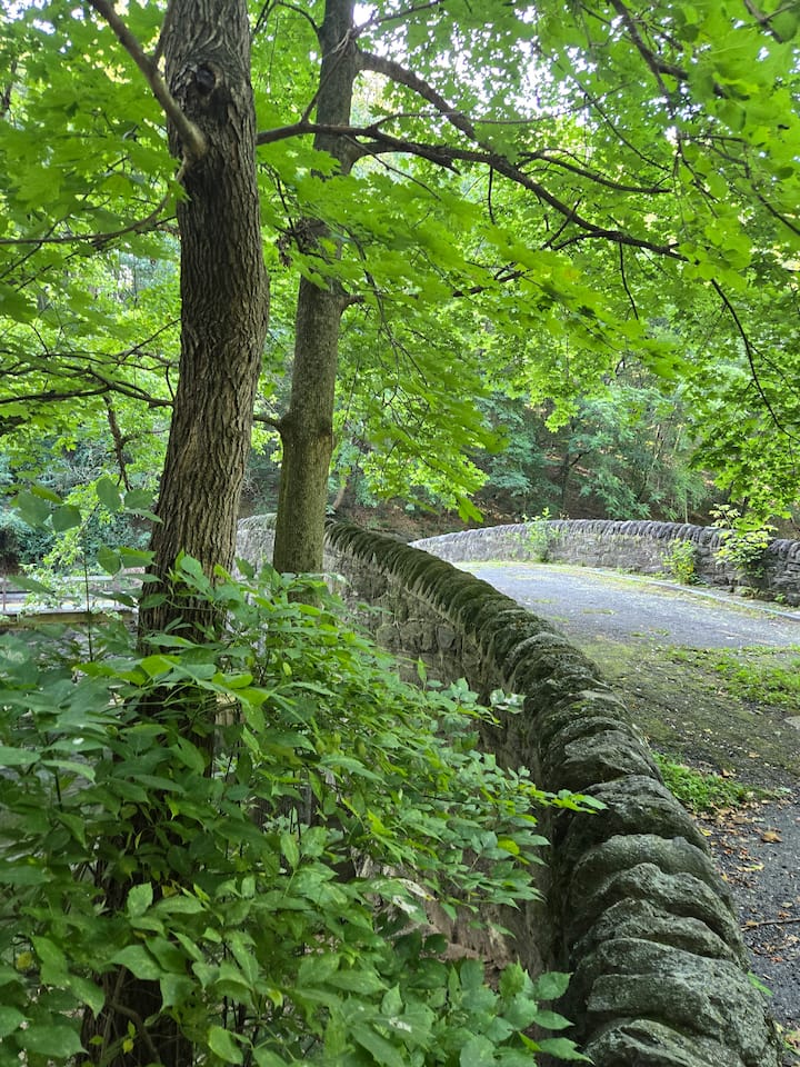 Stylish Victorian Bnb - Chestnut Hill, PA
