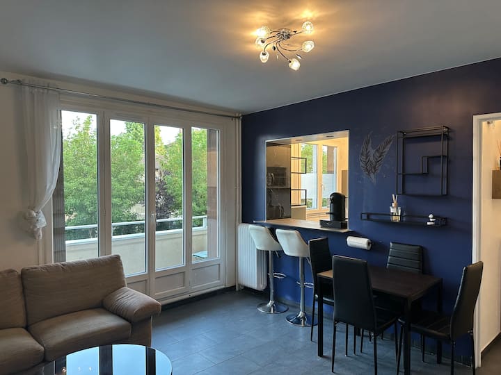 Appartement T3 Spacieux - Cachan