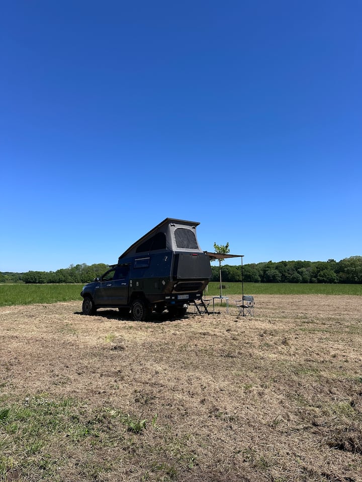 Escapade Nature Dans Les Landes - Josse
