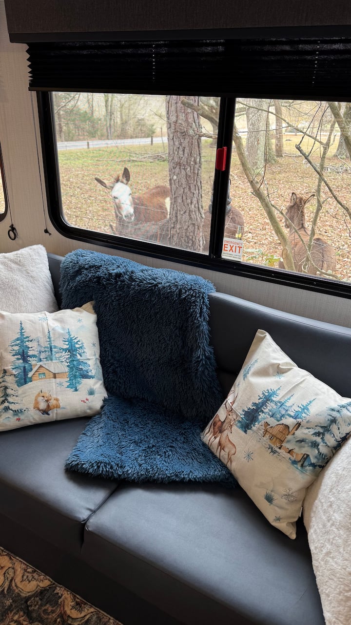 Whispering Pines Rv - 密西西比州