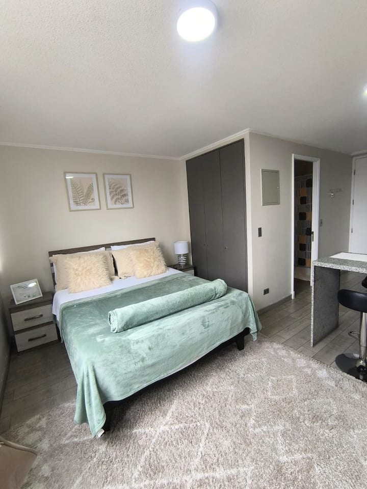 Vista Hermosa Confortable Céntrico Tranquilo A/a - El Bosque, Chile