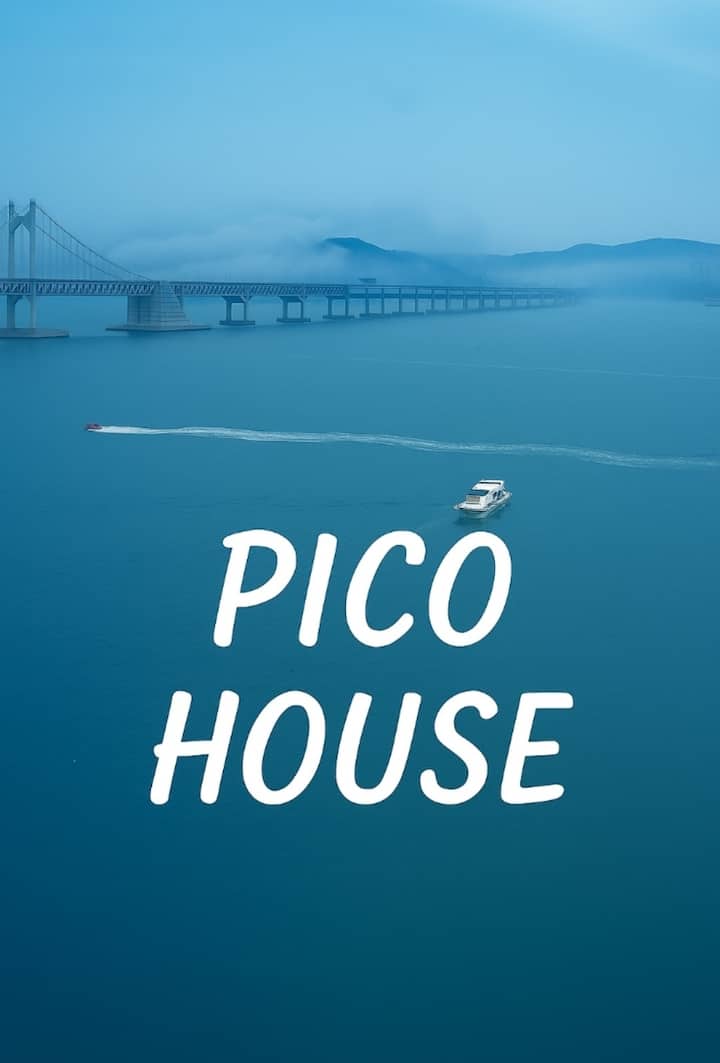 [피코하우스] #오션뷰 #광안대교뷰 #시네마 #사우나 #빔프로젝터 #넷플릭스 #민락더마켓 - Busan