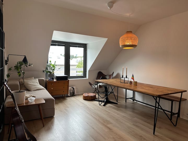 Loft Apartment Central Reykjavík - Reykjavik