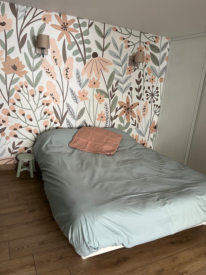 Chambre Et Salle De Bain Privée - Bourgoin-Jallieu