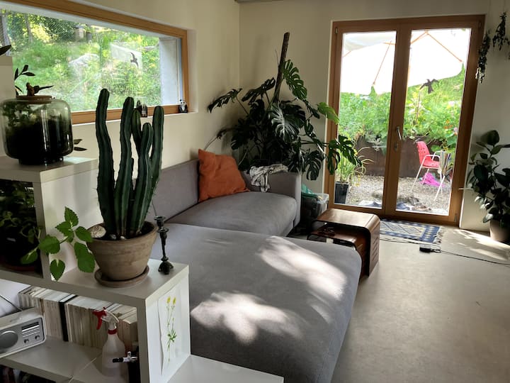 Lichtdurchflutete Wohnung - St. Gallen