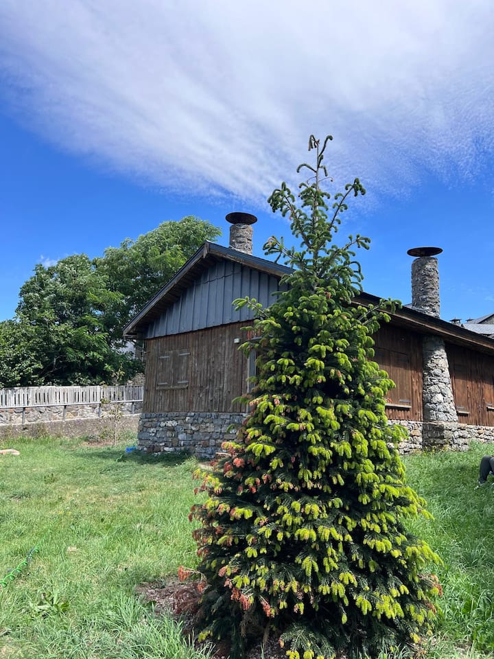 Cabaña Cumbre En Hoz De Jaca - Biescas