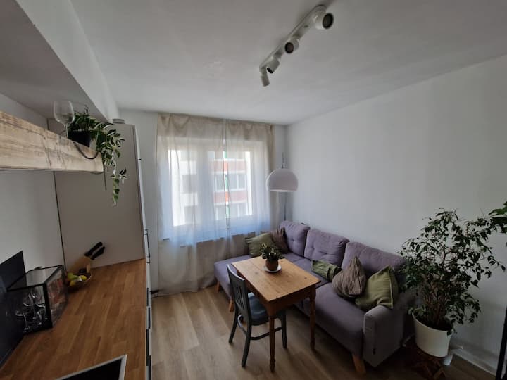 Top Wohnung Im Herzen Von Köln - Colonia