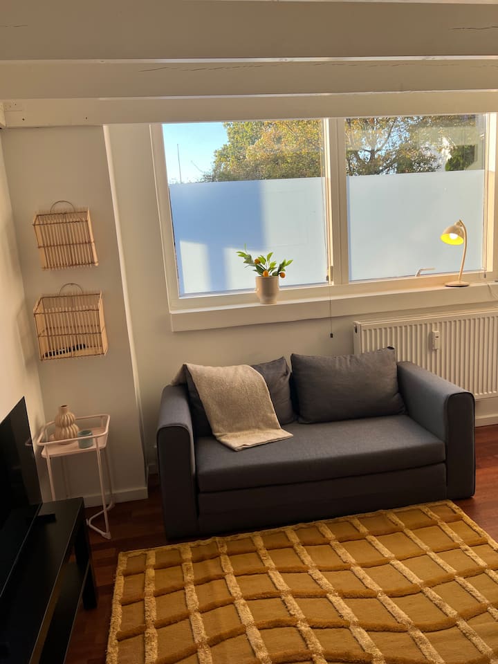 Praktisk Lejlighed - Tæt På Alt - Odense