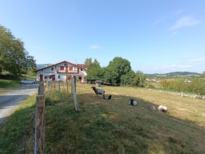 Appartement Espelette - Ainhoa