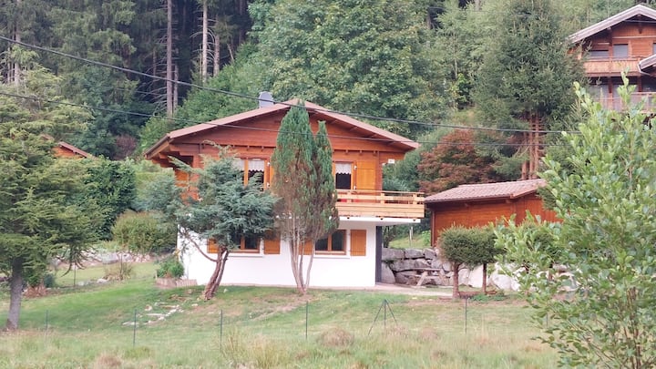 Nouveau Le Ské Chalet, Terrain Cloturé , Garage - Gérardmer