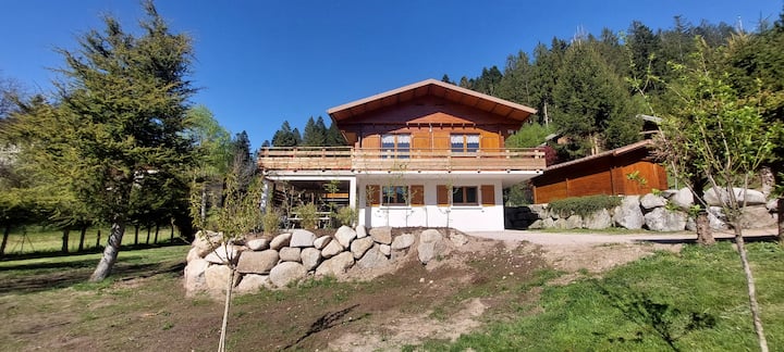 Charmant Chalet Le Ské, Spa Privé, Terrain Fermé - La Bresse